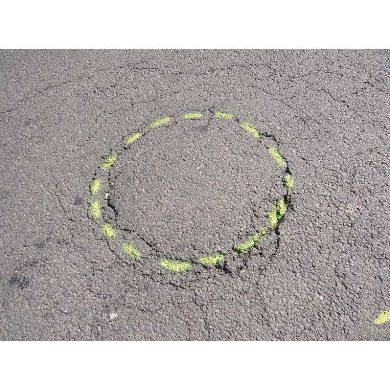 Fluorescent Temporary Marking Spray Paint TEMPO TP - SOPPEC | Technima