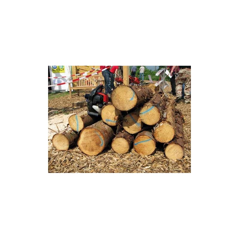 Medium-term tree marking spray paint | STANDARD MARKER SOPPEC ...