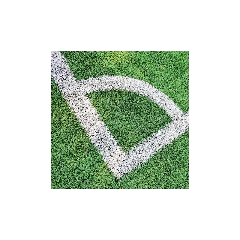 Line marking paint for grass | TRACING® SPORT SOPPEC - Technima Central